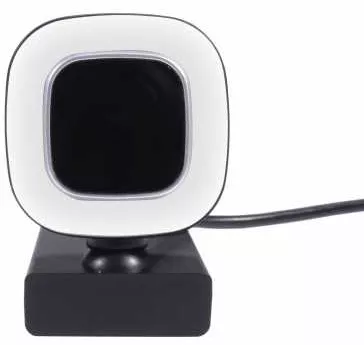 Camera Web Well 1080p Cu Microfon H264