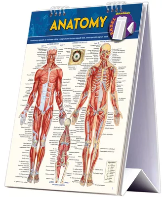 Anatomy - BarCharts Inc Author 18355495 - cel.ro