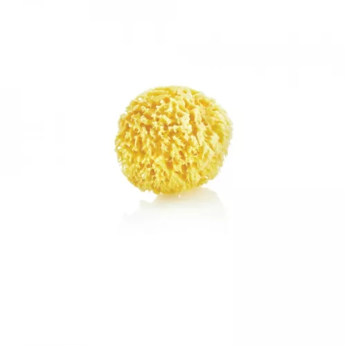 Burete natural pentru bebelusi BabyJem Sea Sponge fn02_996846705