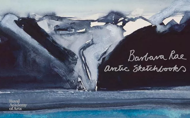 Barbara Rae Arctic Sketchbooks - Barbara Rae Artist 35116852 - cel.ro
