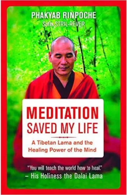 Meditation Saved My Life A Tibetan Lama and the Healing Power of the ...