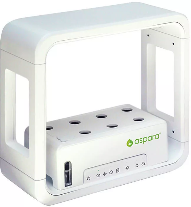 Ghiveci inteligent aspara de GrowGreen Stylist Lite Smart Grower