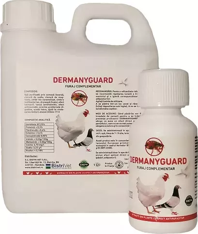 Dermanyguard 1 l Dermany - cel.ro
