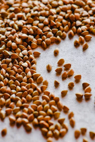 Hrisca coapta BCGSDH - cel.ro