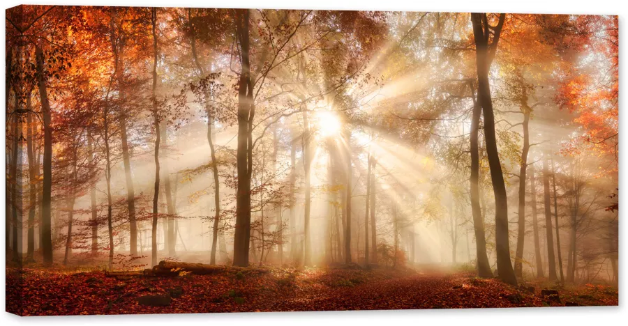 Tablou canvas luminescent luminos in intuneric GlowforHome Dualv-View ...