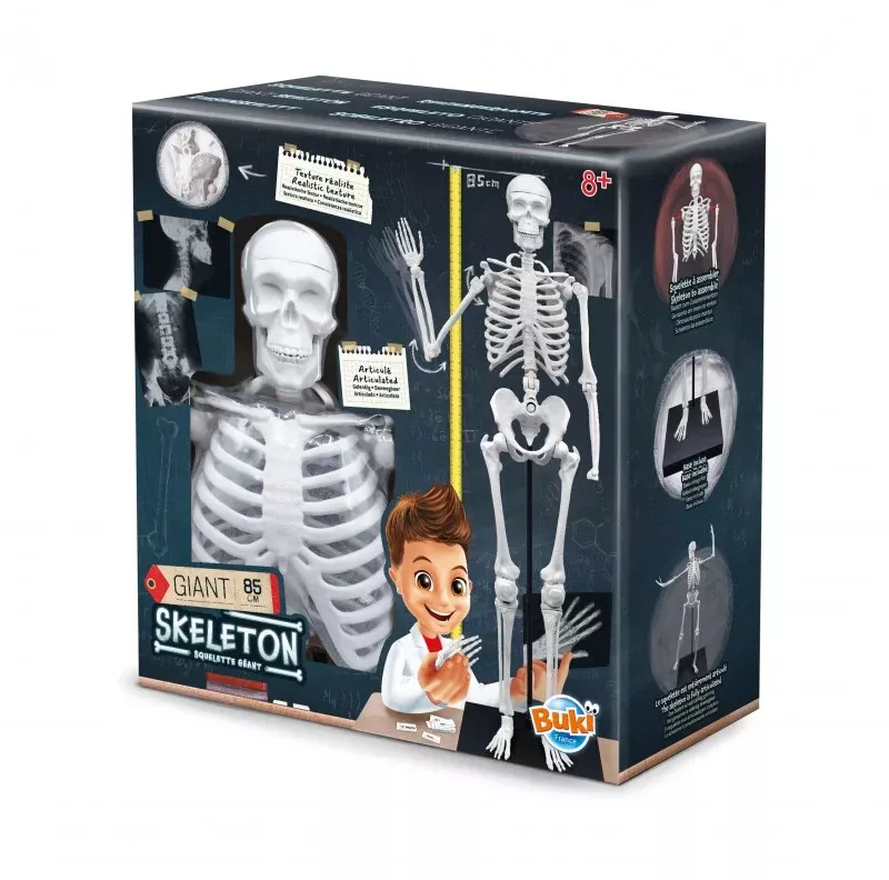 Macheta Schelet Corpul Uman 85 cm h3db_672891967