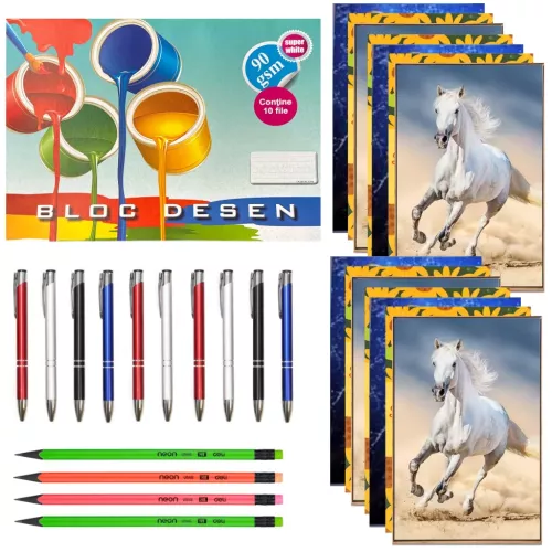 Pachet rechizite scolare pentru gimnaziu/liceu 29 de piese MRKT11372 ...