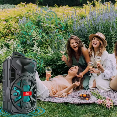 Boxa portabila karaoke ZQS12137 2 microfoane 120W PMPO LED RGB ...