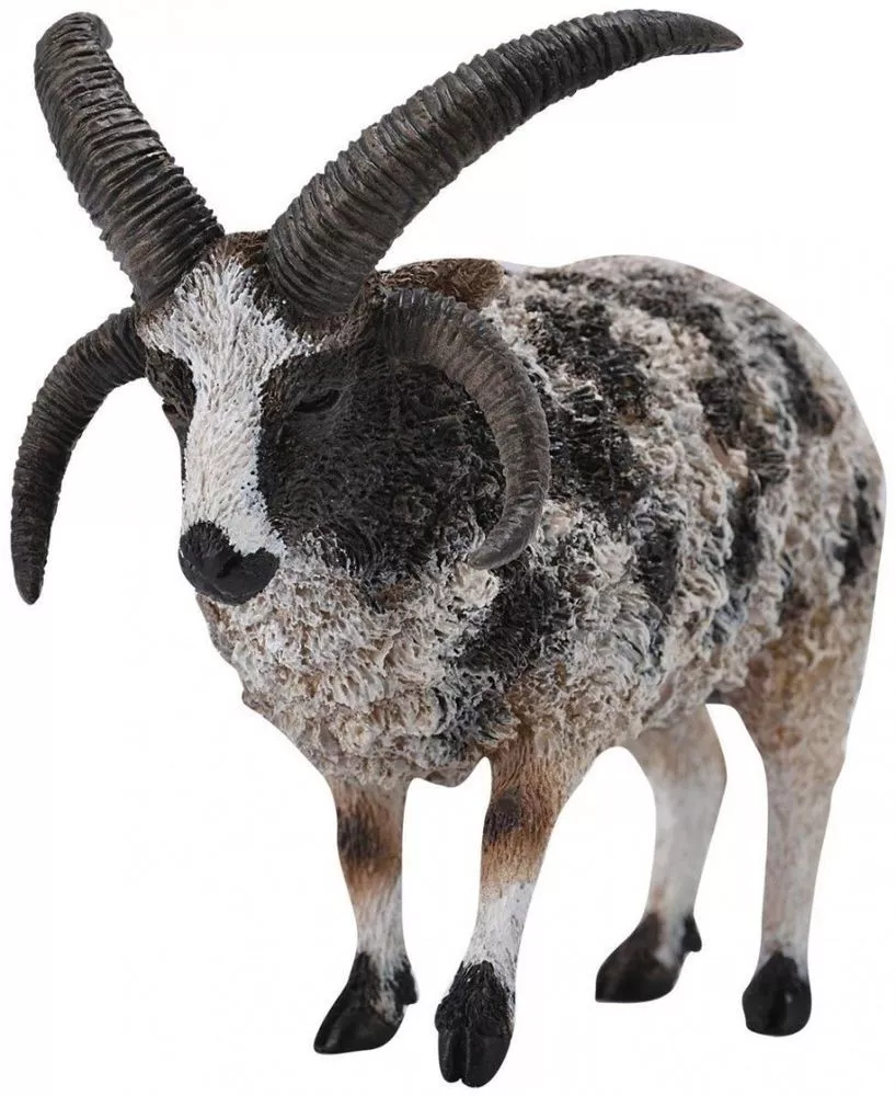 Figurina jacob sheep l collecta COL88728L - cel.ro