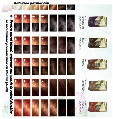 Vopsea de par bio Nr. 3.0 Ciocolata Neagra 100 Natural 100g VNBIOVP3.0 ...