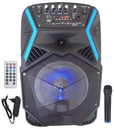Boxa Profesionala Portabila Klausstech Putere 300 W Sistem Karaoke ...