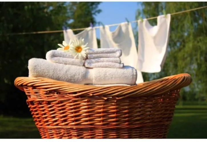 Detergent Lichid de Rufe Albe Assist Trend 5 L-ATTQ504205 d3ry_2109321 ...