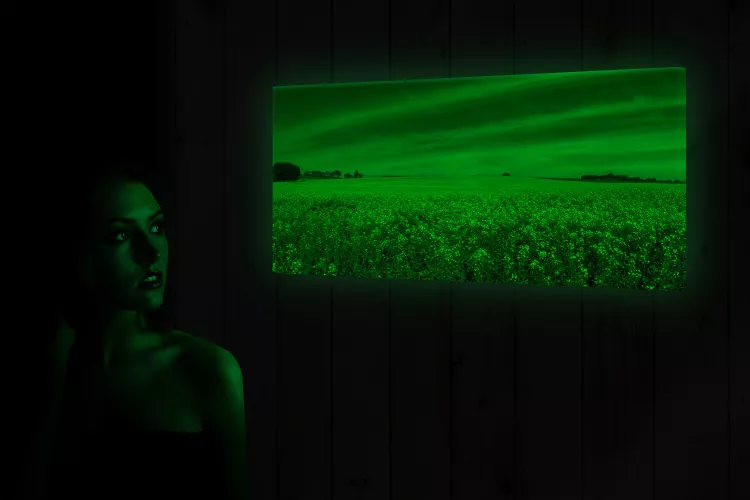 Tablou luminos in intuneric GlowforHome Peisaj cu camp de Canola rapita ...