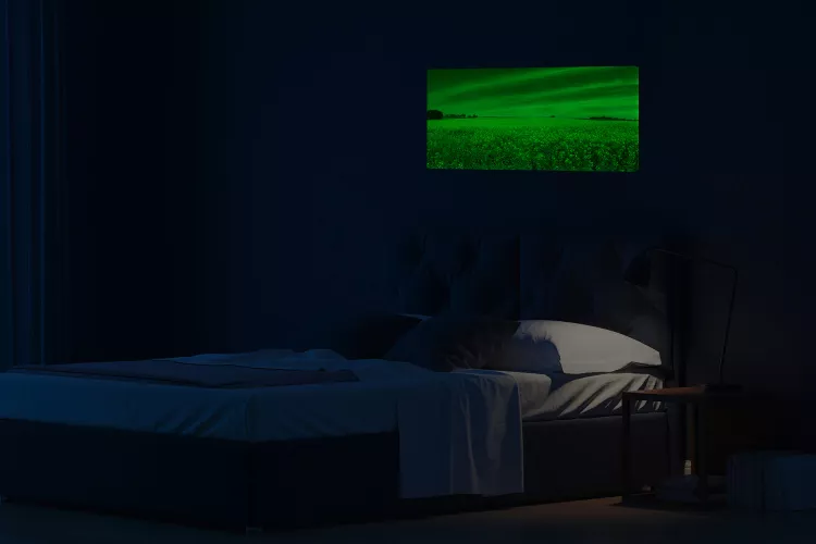 Tablou luminos in intuneric GlowforHome Peisaj cu camp de Canola rapita ...