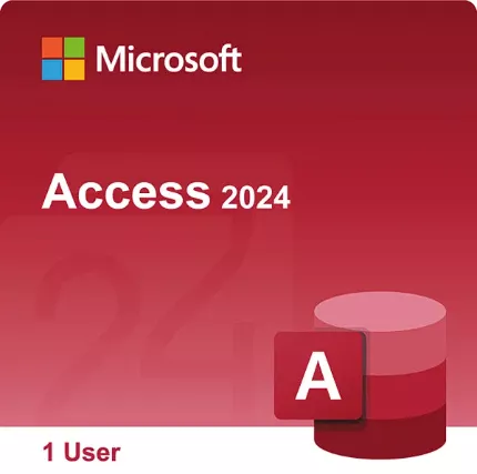 Acces 2024 1PC BIND Transferabila MS-ACCES24B1 - cel.ro