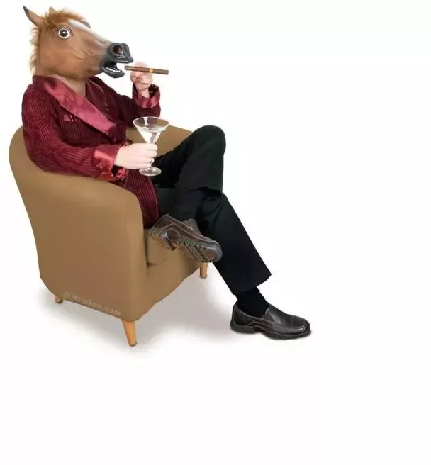 Masca amuzanta cap de cal din latex Gonga® Maro zjvz_76490136 - cel.ro