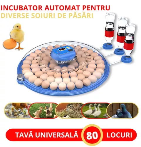 Incubator automat oua cu afisaj de temperatura si intoarcere automata ...