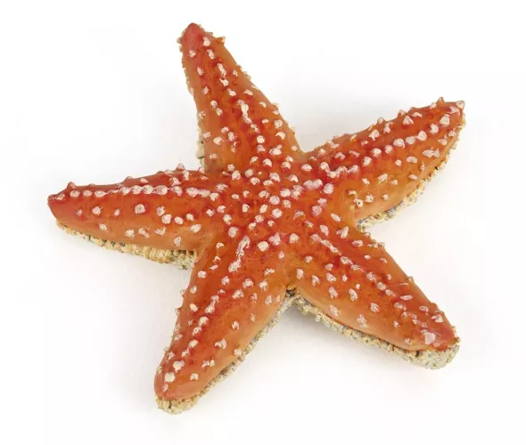 Papo Figurina Stea De Mare Papo56050 - cel.ro