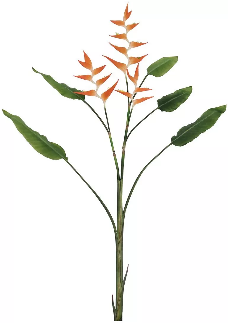 Set 4 plante artificiale verzi portocalii 43x12x172 cm 0170671 - cel.ro