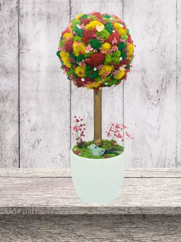 Aranjament floral tip Copacel Pomisor cu licheni naturali stabilizati ...