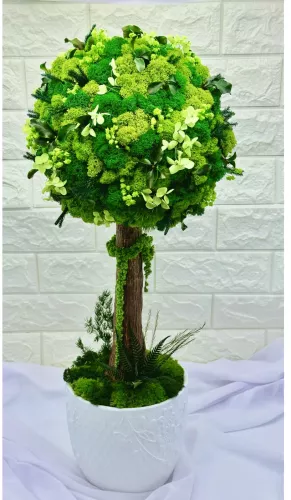 Aranjament floral tip Copacel Pomisor cu licheni naturali stabilizati ...