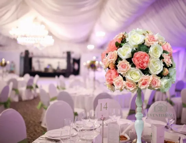 Pachetul pentru nunta - Primul Pas Primul pas - cel.ro