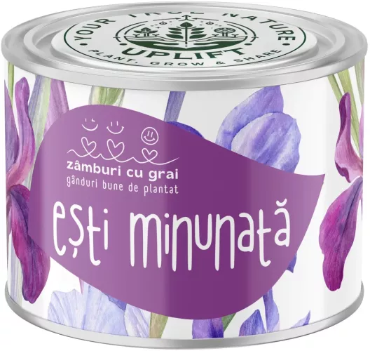 Kit de Gradinarit Urban - &bdquo Esti minunata&rdquo Zamburi cu Grai ...