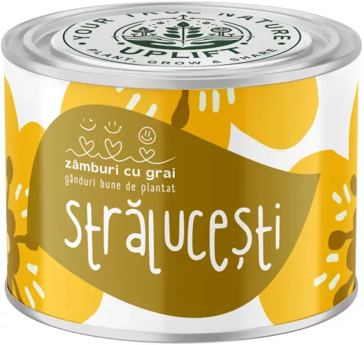 Kit de Gradinarit Urban - &bdquo Stralucesti&rdquo Zamburi cu Grai - cel.ro