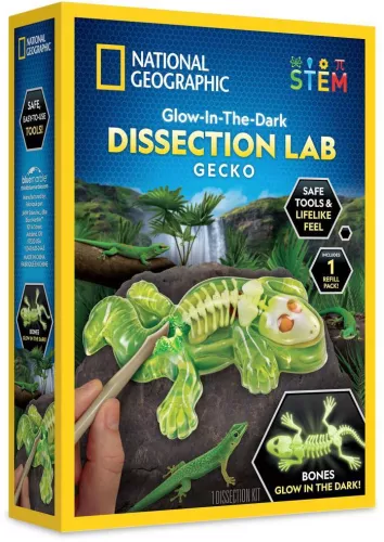 Kit fosforescent disectie soparla National Geographic ART_NG23036 - cel.ro