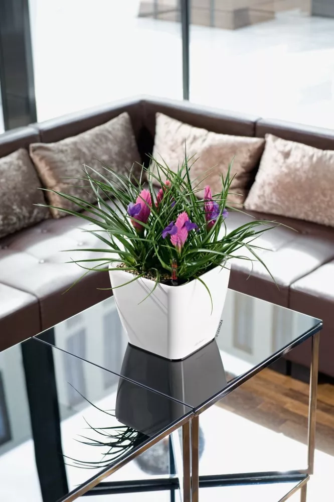 Ghiveci inteligent Lechuza Quadro Premium LS 21 patrat 4 l 23 x 20 cm Culoare - cel.ro