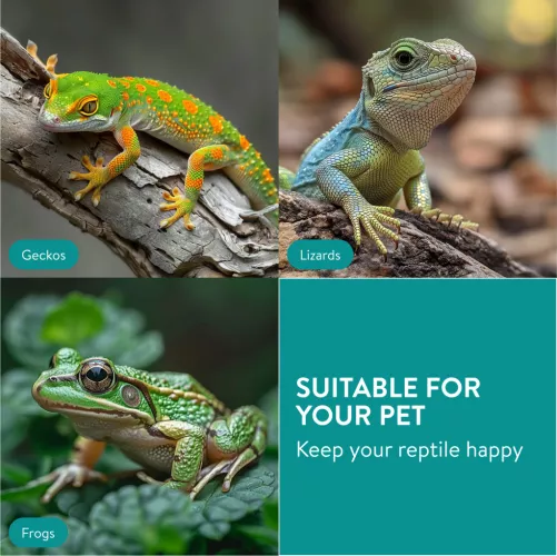 Castron hrana reptile Navaris pentru serpi gecko soparle broaste - cel.ro