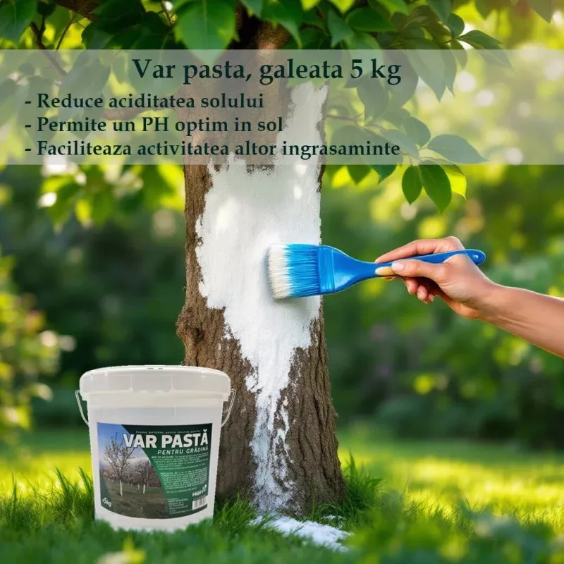Var pasta pentru pomi gradina galeata 5 kg alb 1odg_846538108