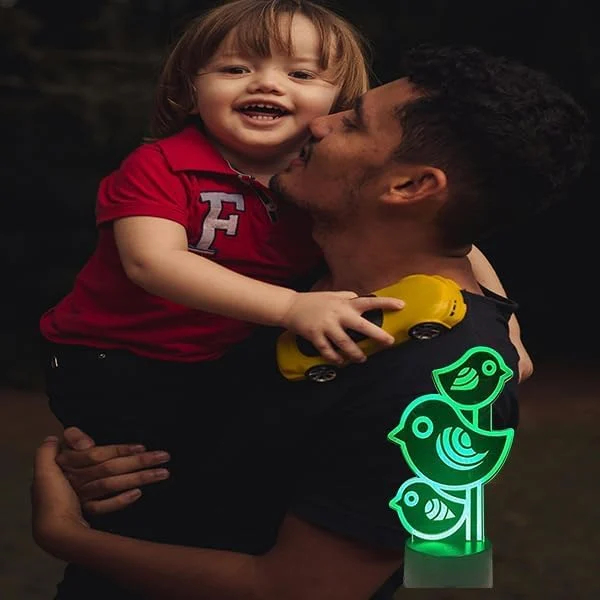 Lampa de veghe Pasarele 3D cu 7 culori alimentare USB Energy Class A