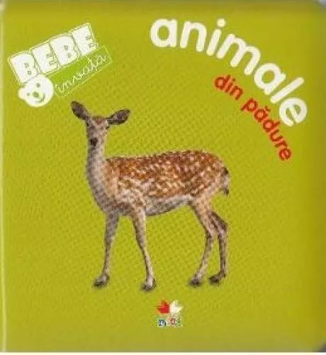 Bebe invata - Animale din padure 978-606-33-1622-7