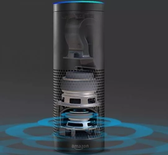 Boxa Bluetooth Amazon Echo cu Aplicatie si Control Voce Negru PNI-SPEBL ...