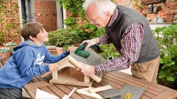 Capsator cu acumulator Bosch PTK 3.6 LI 0603968120 - cel.ro