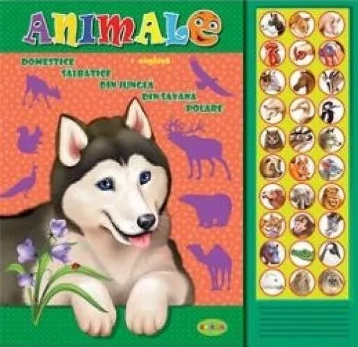 Carte cu sunete Animale romana+engleza - Inesa Tautu 978-9975-140-76-8 ...