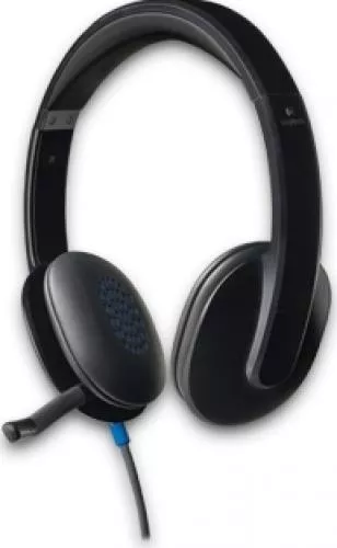 Casti cu microfon Logitech H540 981-000480 981-000480 - cel.ro