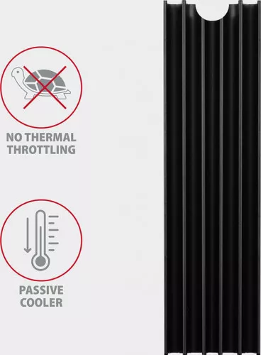 Cooler pasiv Axagon CLR-M2L10 SSD M2 format 2280 Aluminiu pad termic inclus