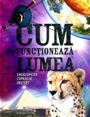 Cum functioneaza Lumea 978-606-741-379-3