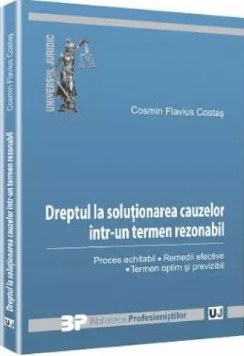 Dreptul La Solutionarea Cauzelor Intr-Un Termen Rezonabil - Cosmin ...
