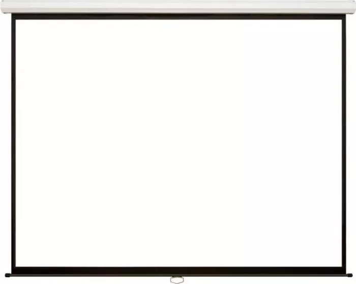 Ecran de proiectie 4World cu montare pe perete 244 x 183 cm 8142 - cel.ro