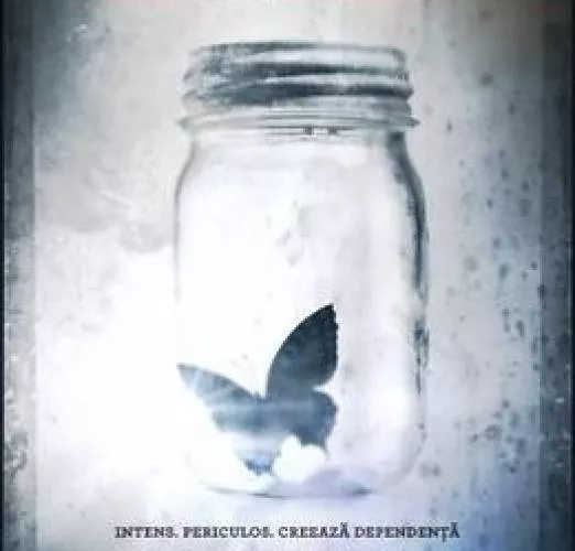 Fericirea incepe azi - Jamie McGuire 978-973-707-735-6