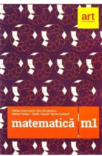 Matematica M1 pentru Bacalaureat 2017 - Marian Andronache Dinu ...