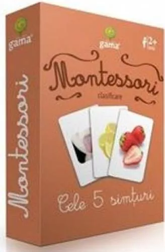 Montessori. Clasificare - Cele 5 simturi 978-973-149-736-5 - cel.ro