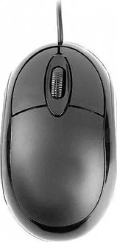Mouse TRACER Neptun USB tramys45906