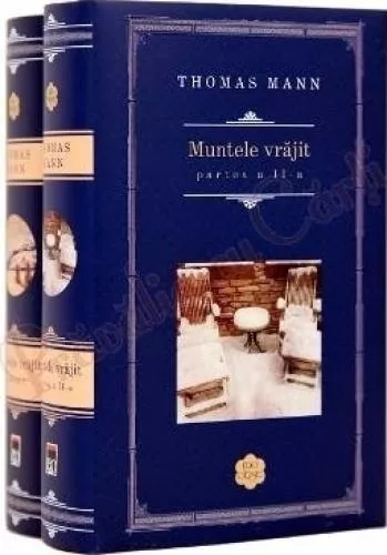 Muntele vrajit - Thomas Mann Rao clasic 978-606-609-594-5 - cel.ro