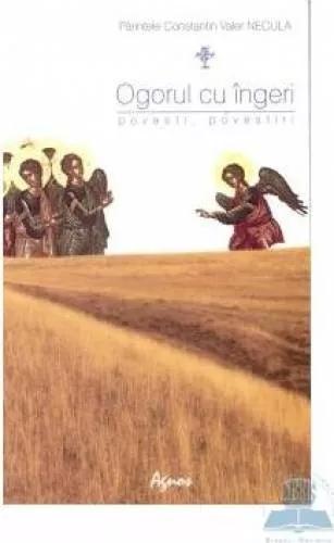 Ogorul cu ingeri - Constantin Valer Necula 973-1801-50-6* - cel.ro