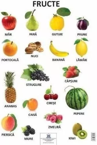 Plansa - Fructe 978-606-683-100-5 - cel.ro