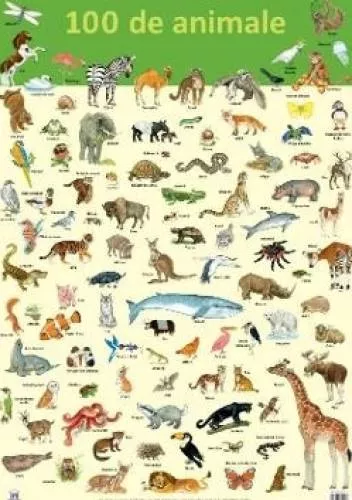 Plansa 100 de animale 978-606-683-714-9 - cel.ro